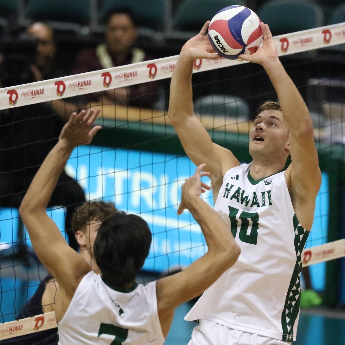 Jason Nguyen | Professional Portfolio